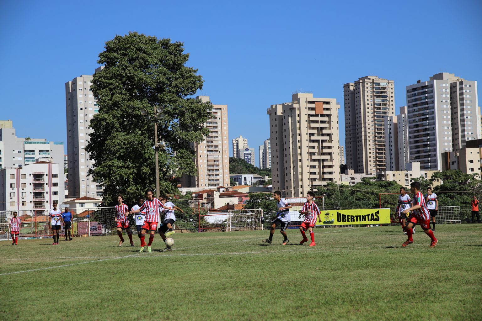 Botafogo fecha parceria com Ubertintas - Botafogo F.C. Botafogo fecha parceria com Ubertintas - Botafogo F.C.